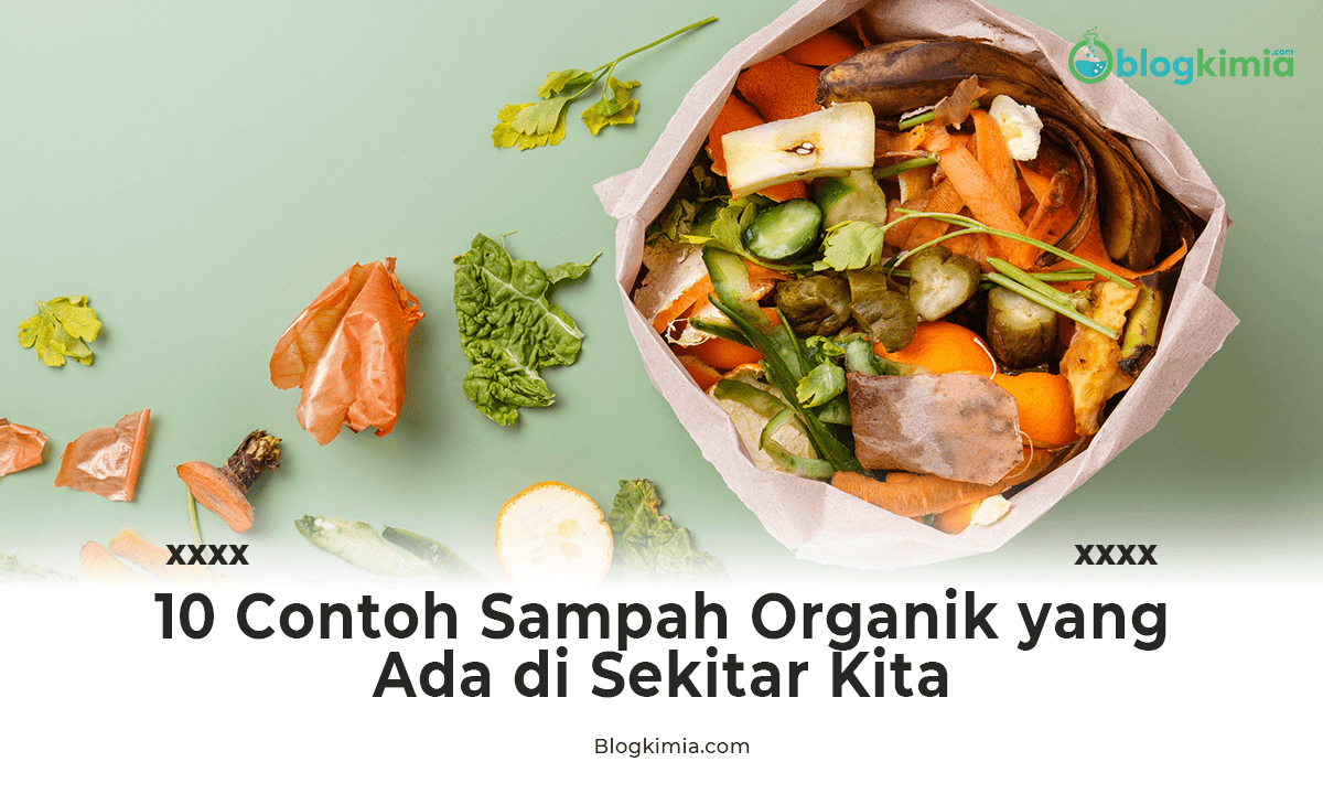 10 Contoh Sampah Organik yang Ada di Sekitar Kita – Blog Kimia