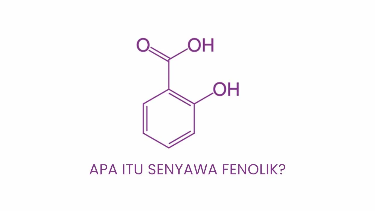 Apa Itu Senyawa Fenolik? Pengertian, Fungsi dan Contohnya – Blog Kimia